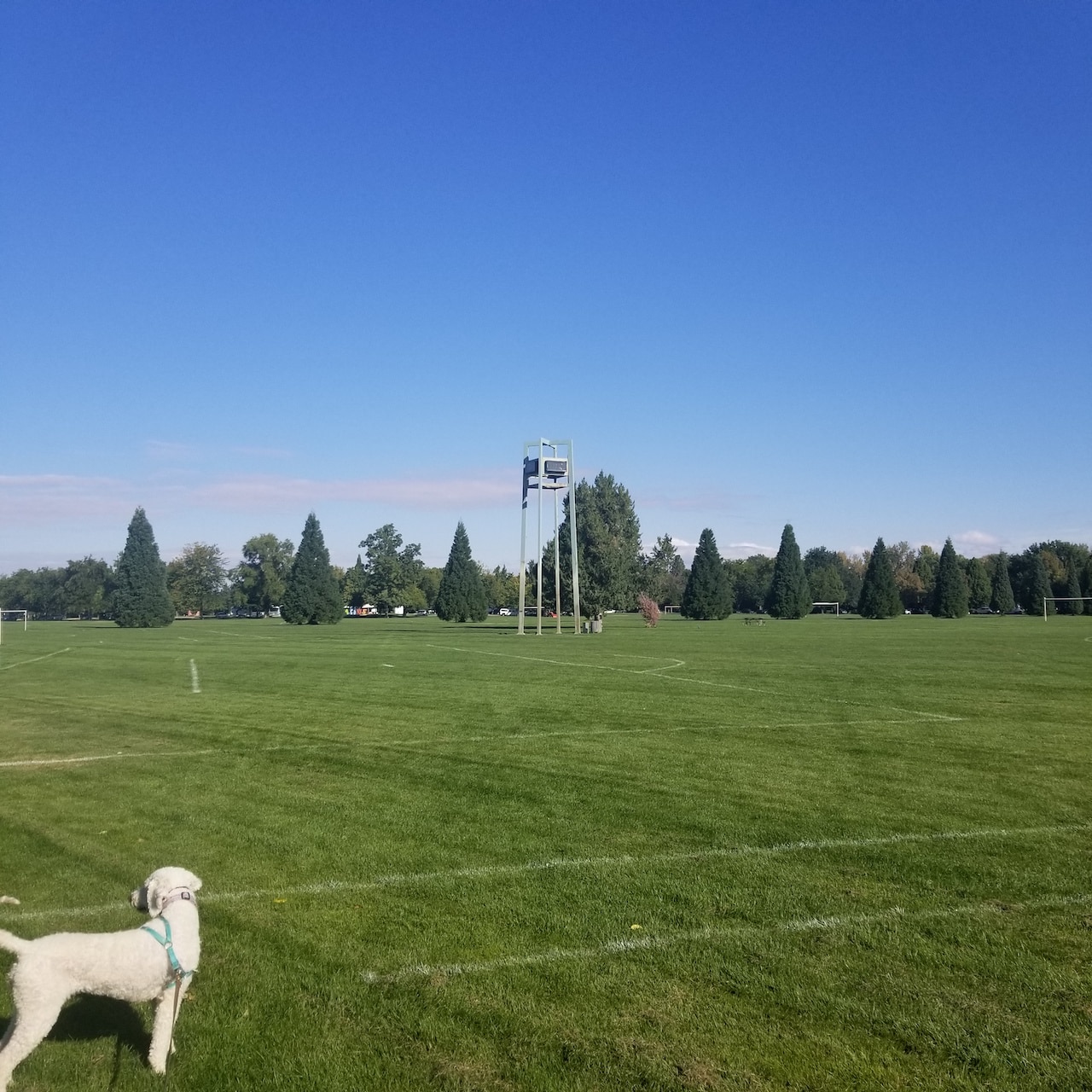 Ann Morrison Park Clock Tower – Idaho Heritage Trust, Inc.